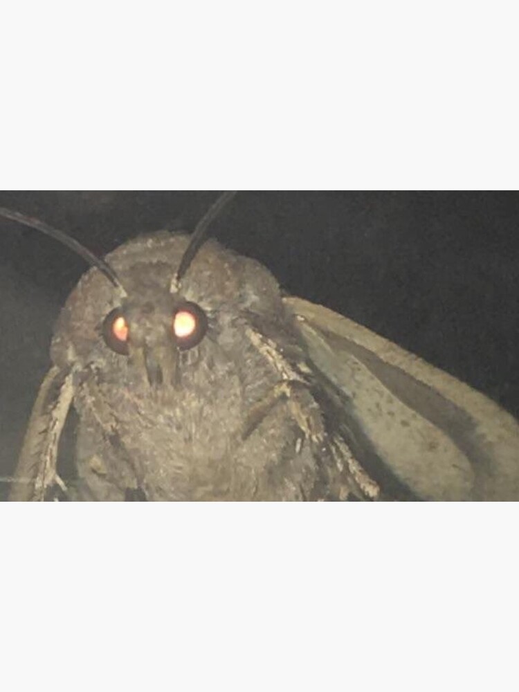"Moth Lamp meme" Sticker for Sale by IamJustin | Redbubble