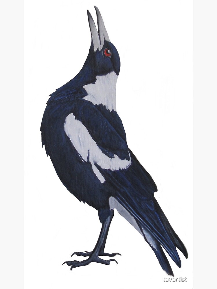 "Voted number 1 - Magpie!" Art Print for Sale by tavartist | Redbubble