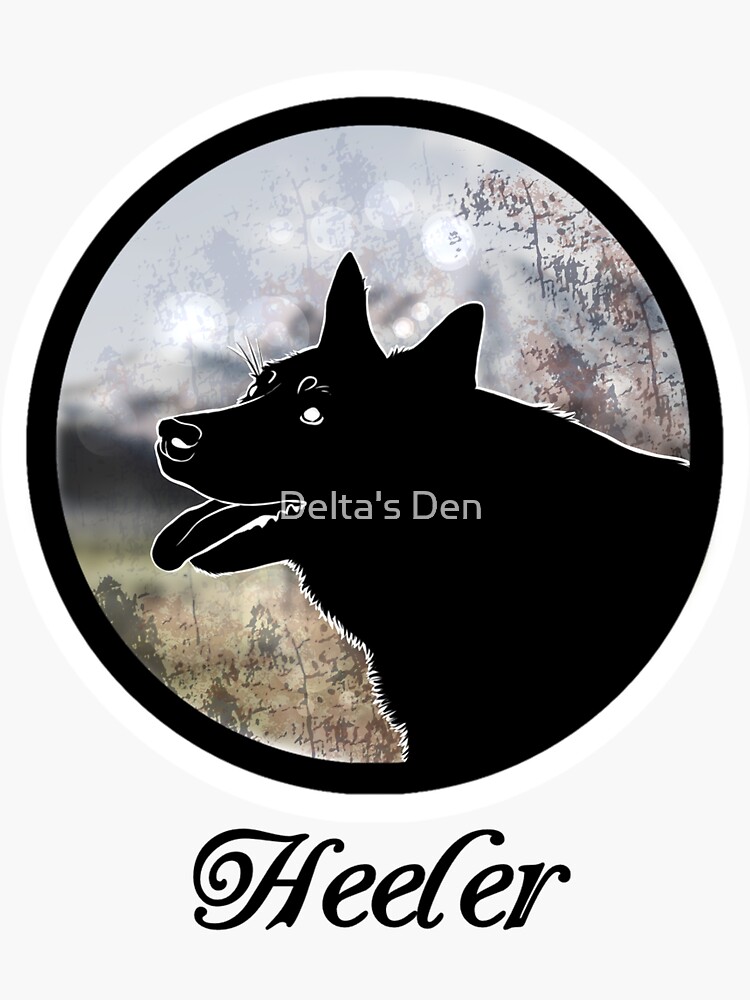 ""Heeler" Blue Heeler design" Sticker for Sale by Lizart12162 | Redbubble