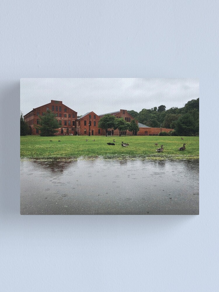 "Lake Talleyrand" Canvas Print for Sale by BellefonteMerch | Redbubble