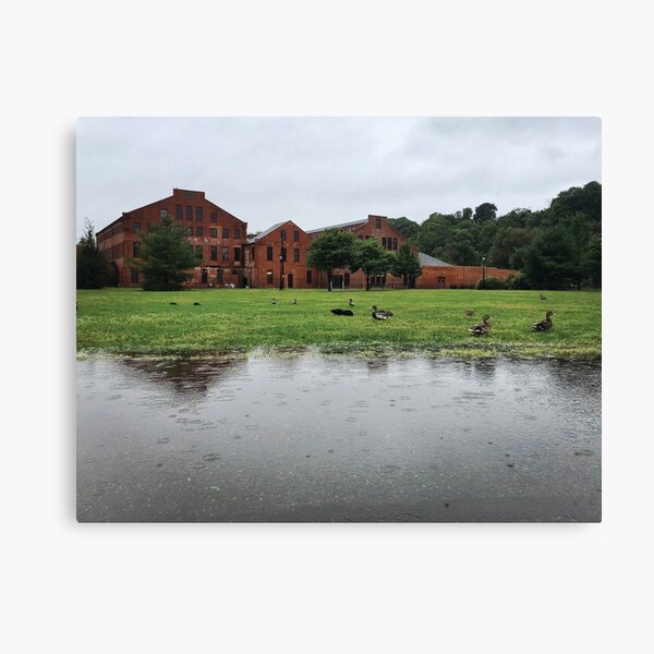 "Lake Talleyrand" Canvas Print for Sale by BellefonteMerch | Redbubble