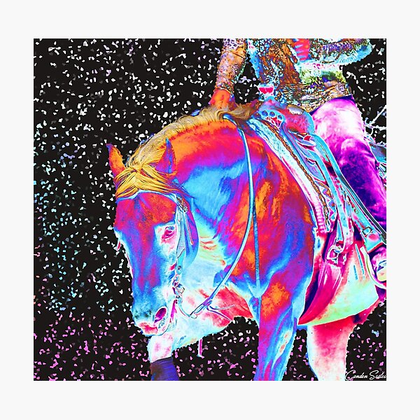 "Reining stars" Photographic Print by ReiningArt | Redbubble