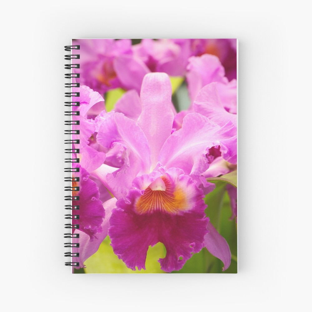"Pink Cattleya Orchids" Spiral Notebook for Sale by ogphoto | Redbubble