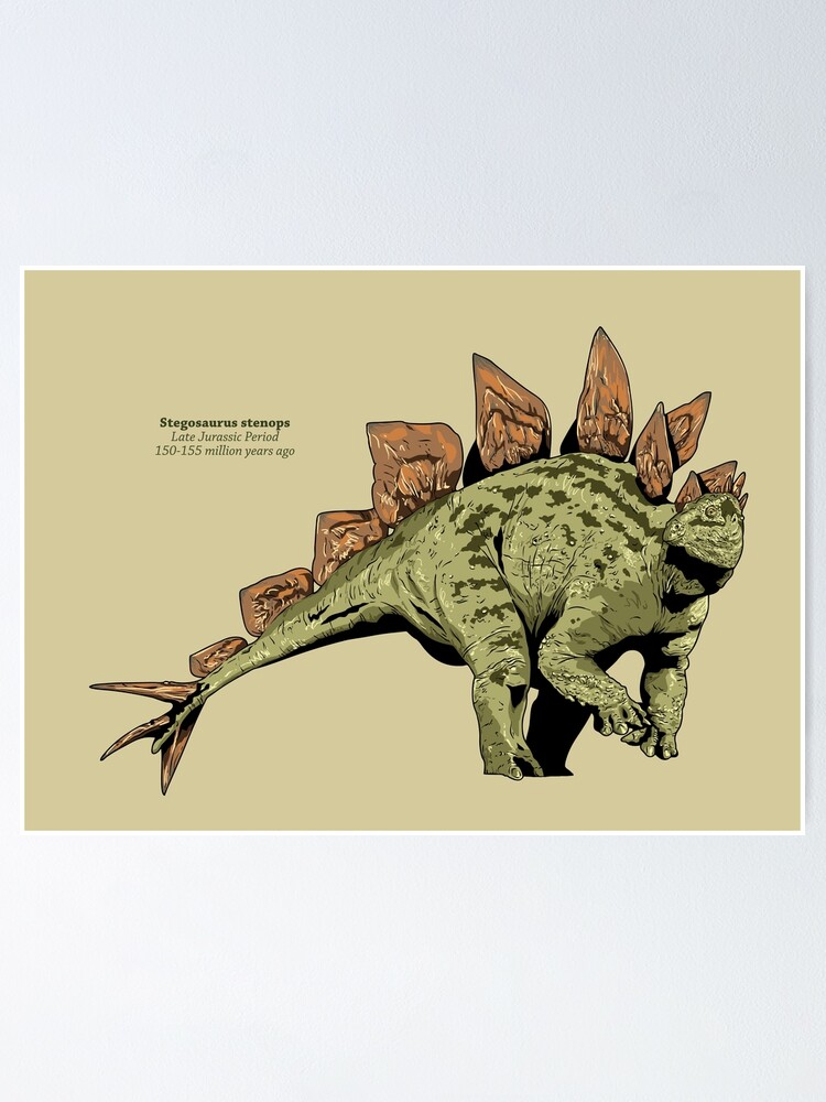 "Stegosaurus Print" Poster by MLIllustration | Redbubble