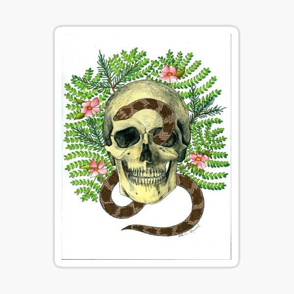 "Skull and Snake" Sticker by artbychloelynch | Redbubble