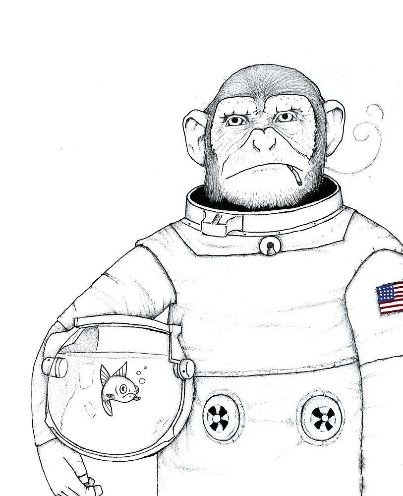 "Aqua Fly and the Space Monkey" by Zach Woomer | Redbubble