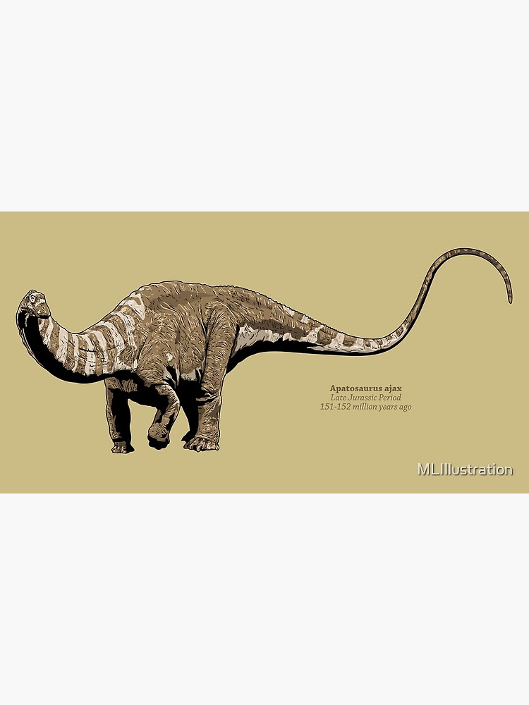 "Apatosaurus Print" Poster for Sale by MLIllustration | Redbubble