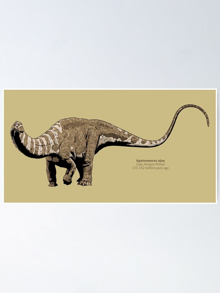 "Apatosaurus Print" Poster for Sale by MLIllustration | Redbubble