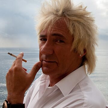 "Rud Stewart" Pillow for Sale by Philip Rogan | Redbubble