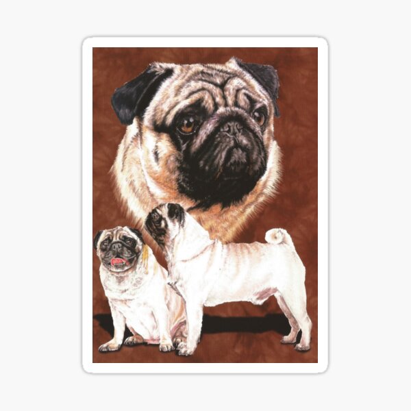 "Pug Alteration" Sticker for Sale by BarbBarcikKeith | Redbubble