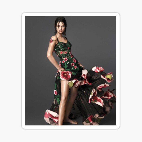 "Kendall Jenner " Sticker for Sale by caitlinwashere | Redbubble