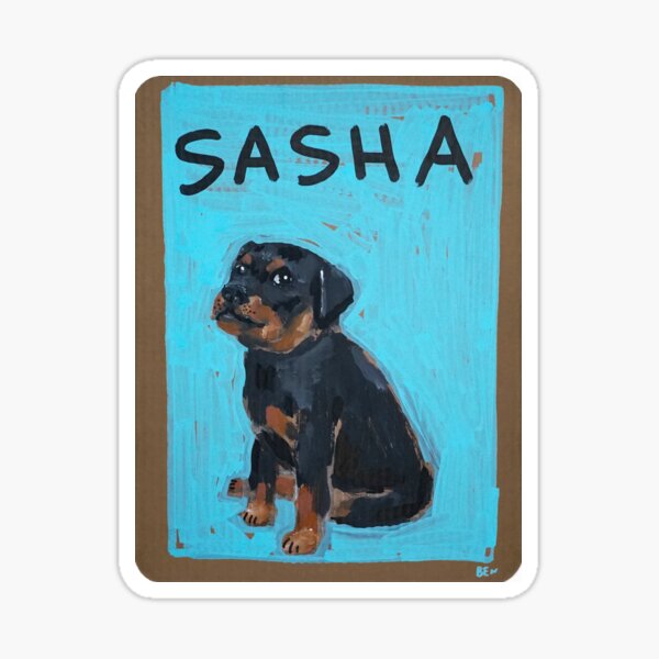 "Sasha" Sticker for Sale by blenovitz | Redbubble