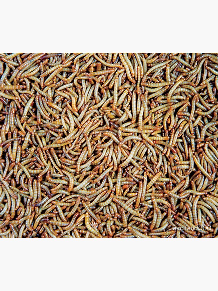 "Maggot Print" Art Print for Sale by avidfan2000 | Redbubble