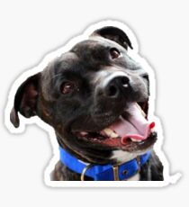 Staffy Stickers | Redbubble