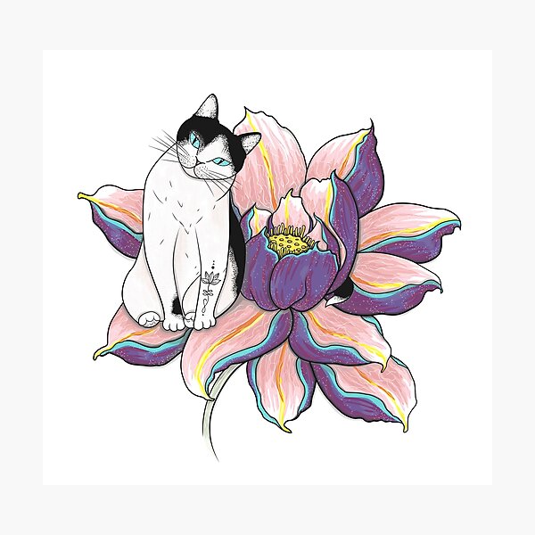 "Lotus Cat" Photographic Print for Sale by runcatrun | Redbubble