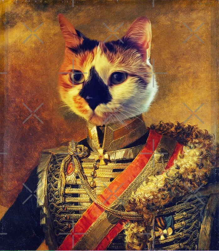 "Cat Military Portrait" by uselessnyc | Redbubble