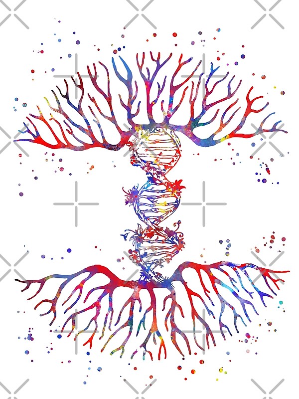 "Tree of life with the roots of DNA" by Rosaliartbook | Redbubble