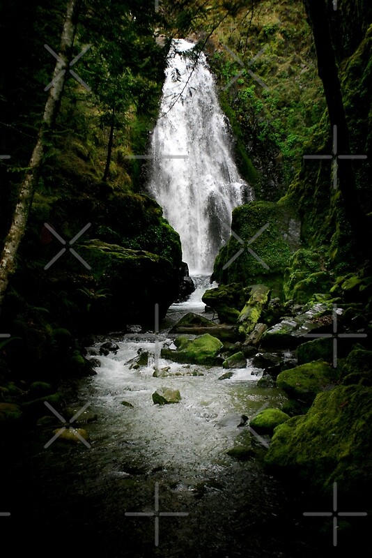 "Susan Creek Falls" by Jamey Davidsmeyer | Redbubble