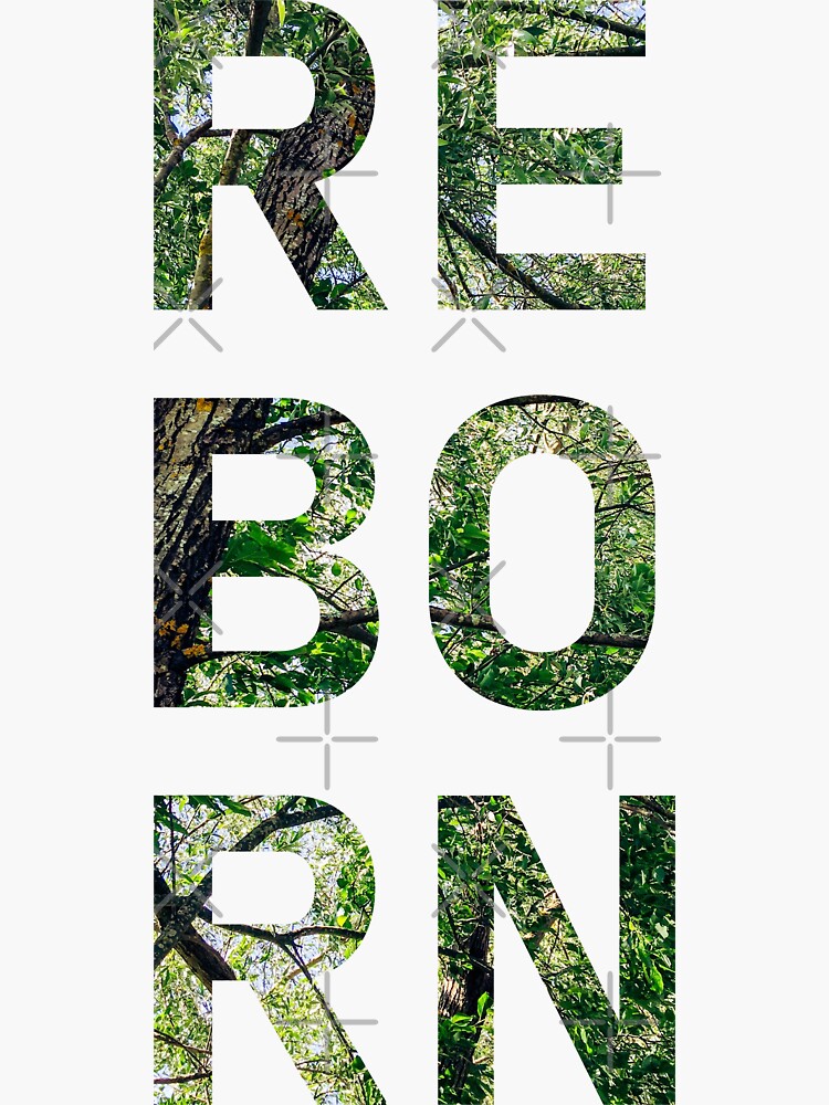 "REBORN" Sticker by liuha | Redbubble