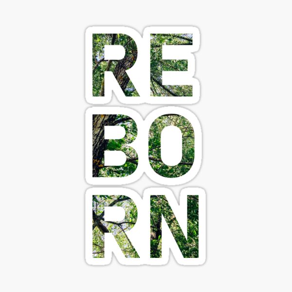 "REBORN" Sticker by liuha | Redbubble