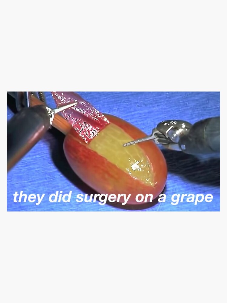 "they did surgery on a grape meme" Sticker by womanalmighty | Redbubble