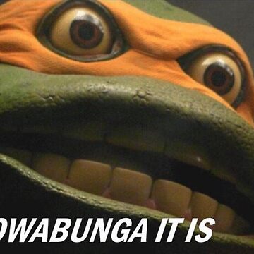 "COWABUNGA IT IS" Sticker for Sale by Chookosaurus | Redbubble