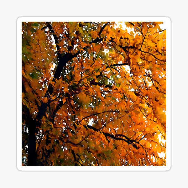 "Amber Leaves of Fall Realistic Artwork" Sticker for Sale by taiche ...