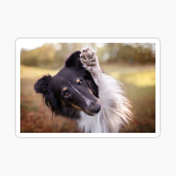 "Hi there!" Sticker by hadissima | Redbubble