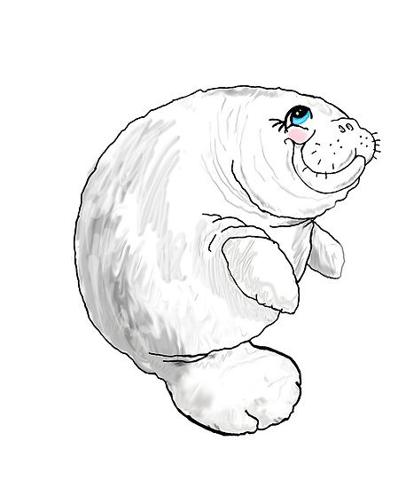 "Walrus Sea Cow Drawing Sea Animals" Posters by yoddel | Redbubble