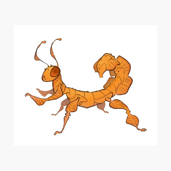 "stick insect" Photographic Print for Sale by Kuukikyu | Redbubble