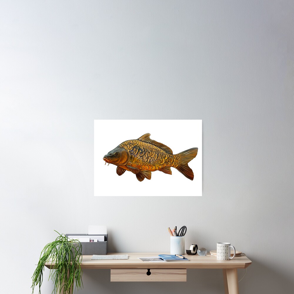 "Mirror carp" Poster by slashgrafik | Redbubble