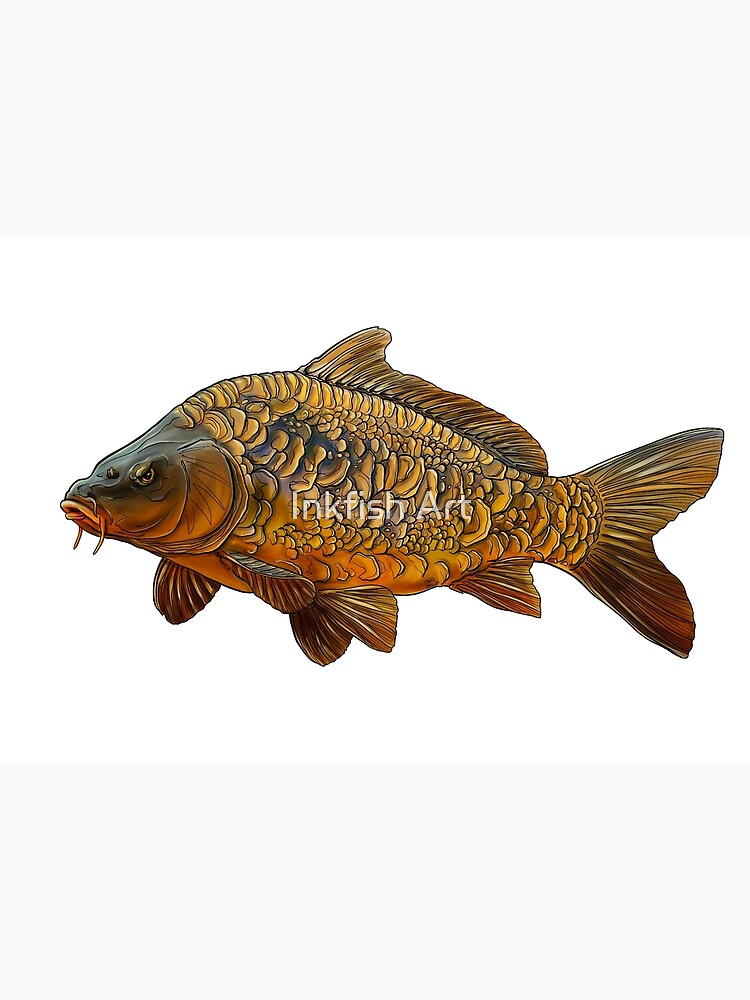 "Mirror carp" Poster by slashgrafik | Redbubble
