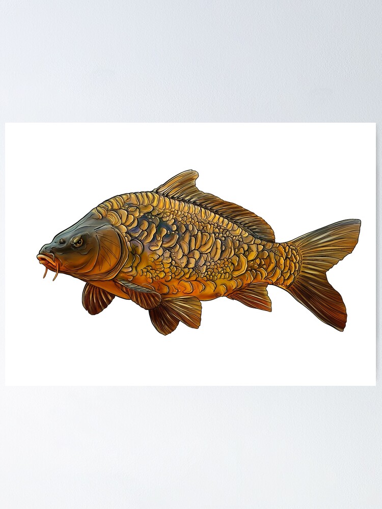 "Mirror carp" Poster by slashgrafik | Redbubble