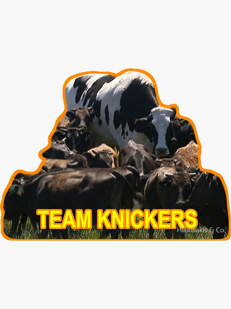 "Team Knickers" Sticker for Sale by hliounakis | Redbubble