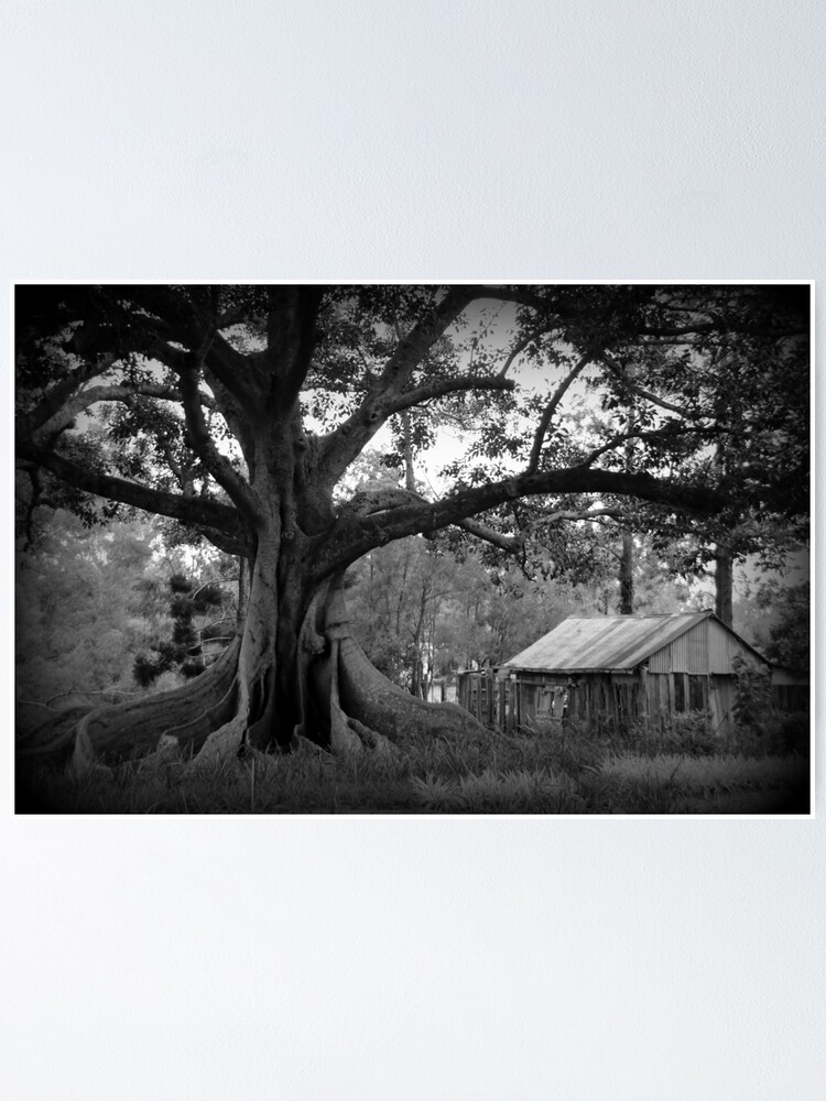 "Rustic Cabin" Poster by susansegal57 | Redbubble