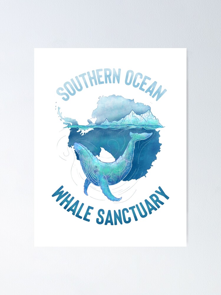 "Southern Ocean Whale Sanctuary" Poster by Motivburg | Redbubble