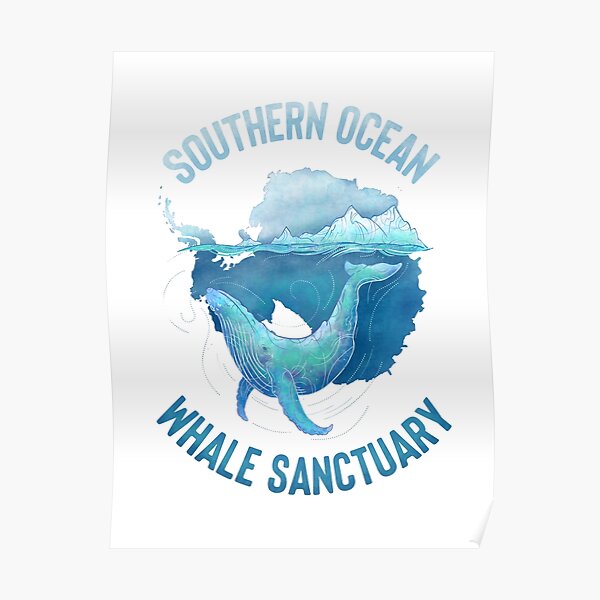 "Southern Ocean Whale Sanctuary" Poster by Motivburg | Redbubble