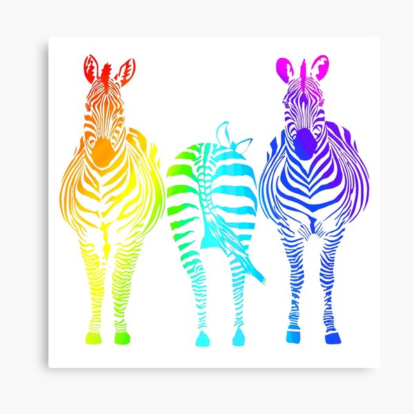 Rainbow Zebra Canvas Prints | Redbubble