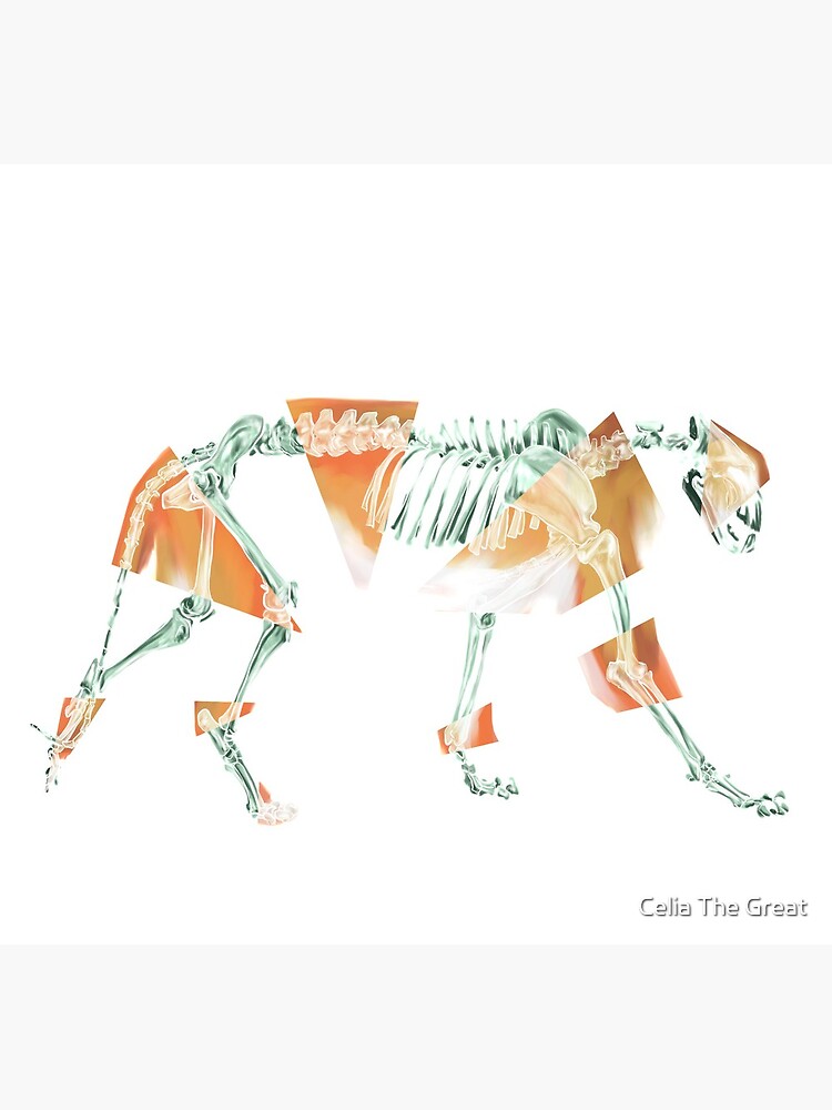 ".Tiger Skeleton Xray Art." iPhone Wallet for Sale by cheshiresmile ...