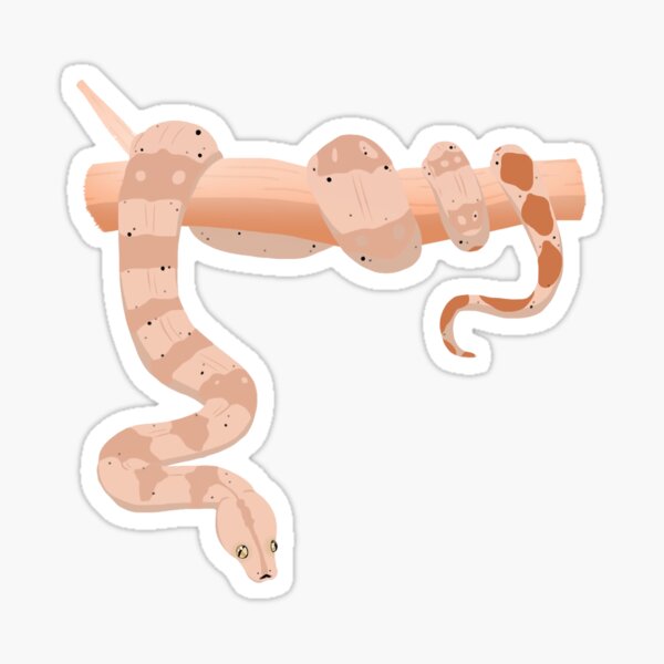 "Hog Island Boa Constrictor" Sticker by AfroHerpkeeper | Redbubble