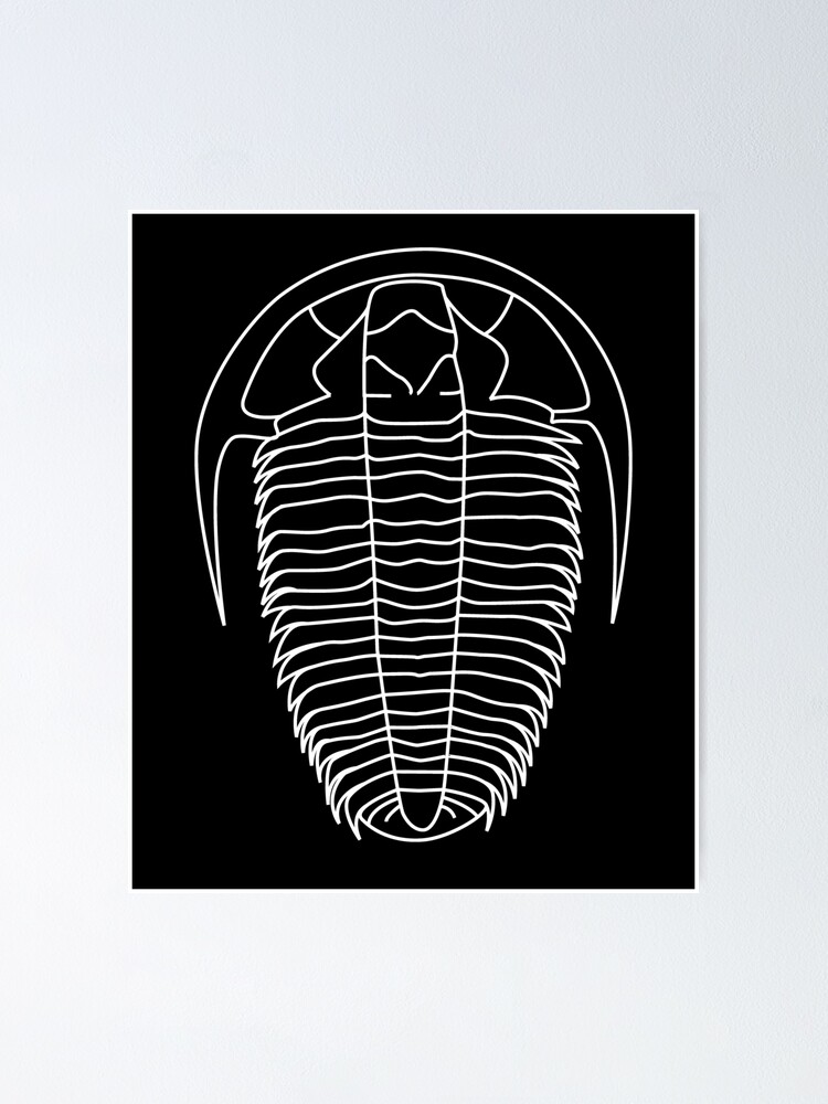 "Trilobite Fossil Geology Teacher Student Geologist Gift " Poster for ...