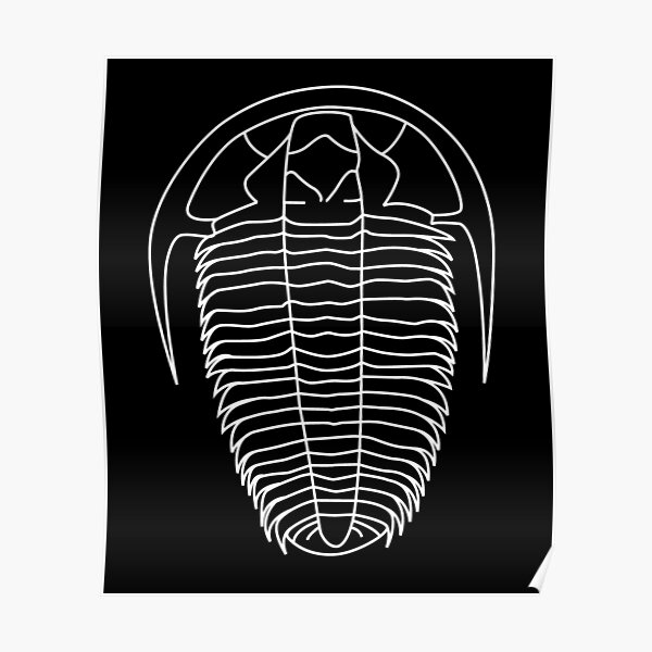 "Trilobite Fossil Geology Teacher Student Geologist Gift " Poster for ...