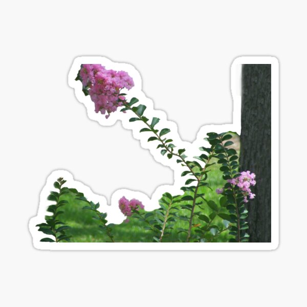 "Flowering Shrub" Sticker by kristalcurt | Redbubble