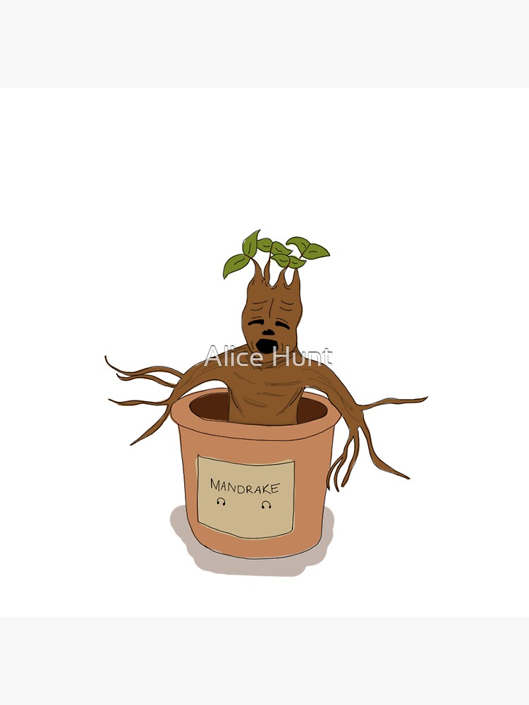 "Mandrake Root" Sticker by alicedaisymae3 | Redbubble