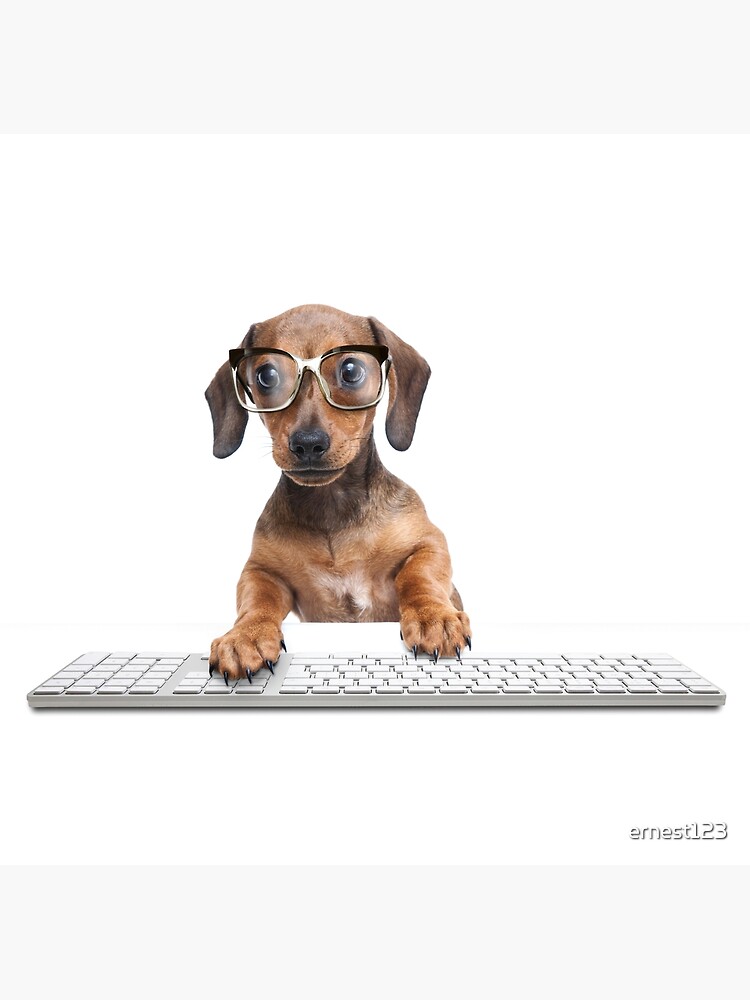 Dog Typing Meme Dog Typing Stock Illustrations – 582 Dog Typing