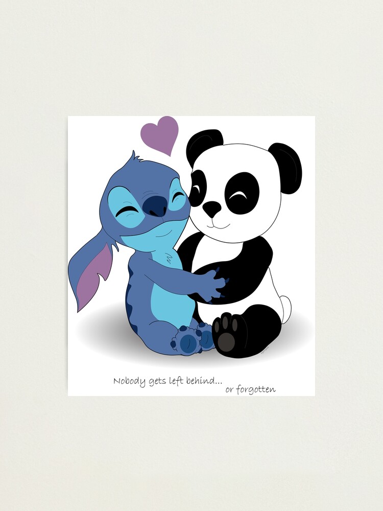 "Stitch & Panda" Photographic Print for Sale by tayloriginal | Redbubble