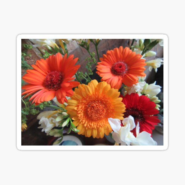 "Orange Gerberas With White Freesias" Sticker by lezvee | Redbubble