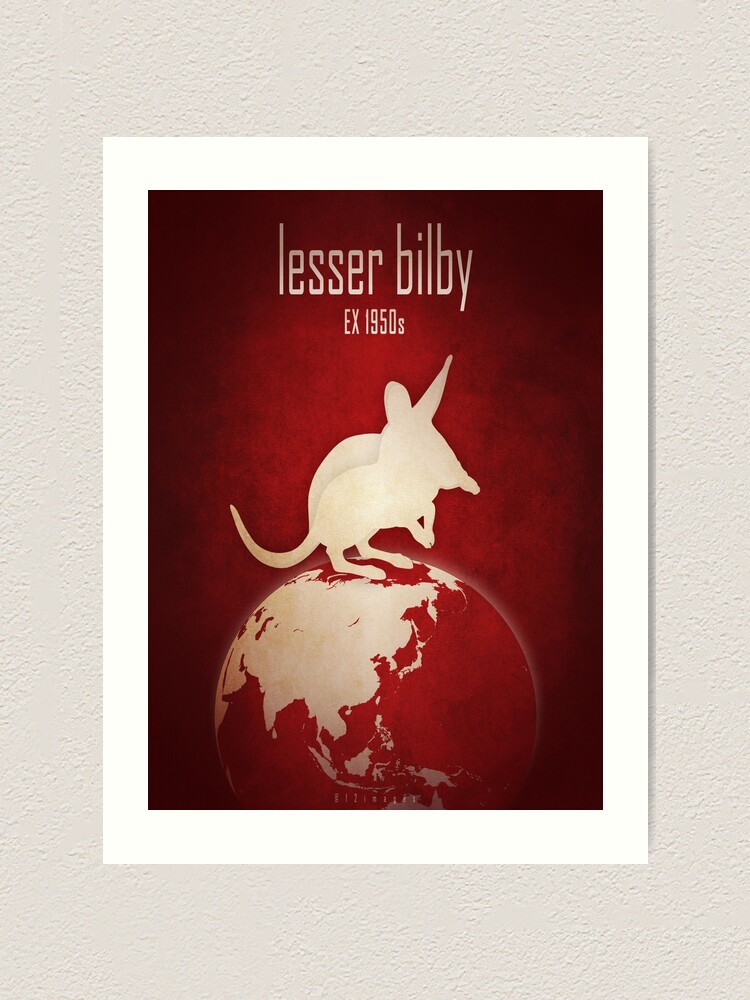 "Lesser bilby/yallara - extinct animals" Art Print by 12images | Redbubble