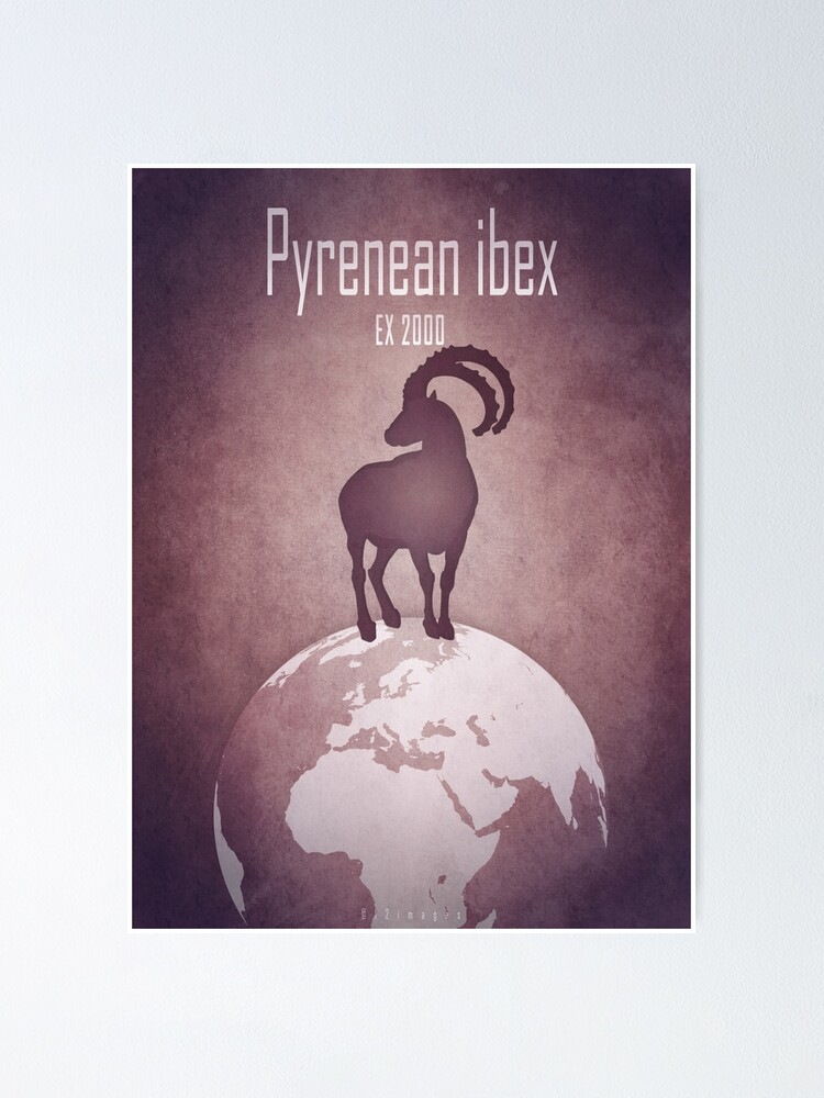 "Pyrenean ibex - extinct animals" Poster by 12images | Redbubble