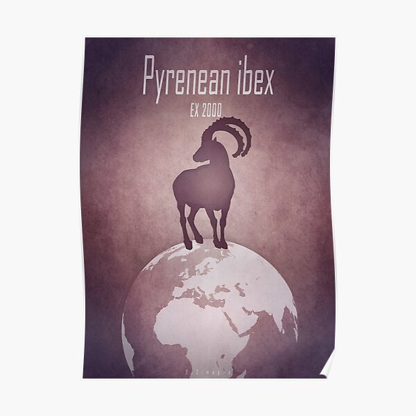 "Pyrenean ibex - extinct animals" Poster by 12images | Redbubble